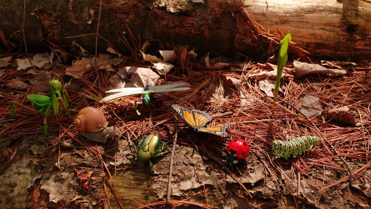 Coffret figurines - Insectes du jardin - Papo | Les jouets Ciboulot
