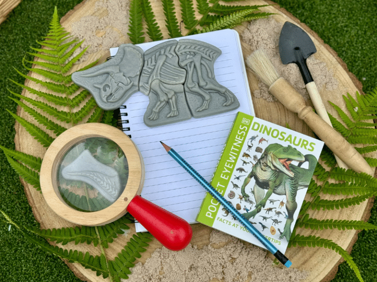 Triceraptops et Spinosaurus - Collection Dig and discover - Yellow Door ...